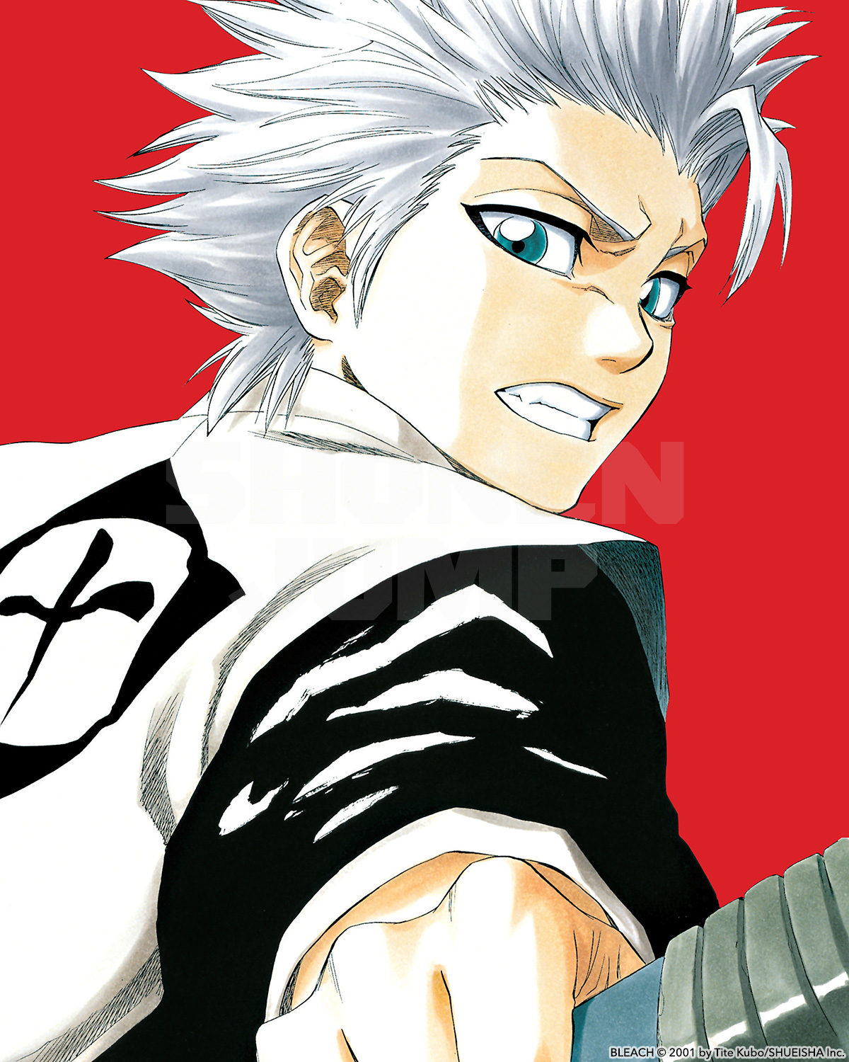 Bleach Captain Hitsugaya Drawings Curious..does Toshiro Really