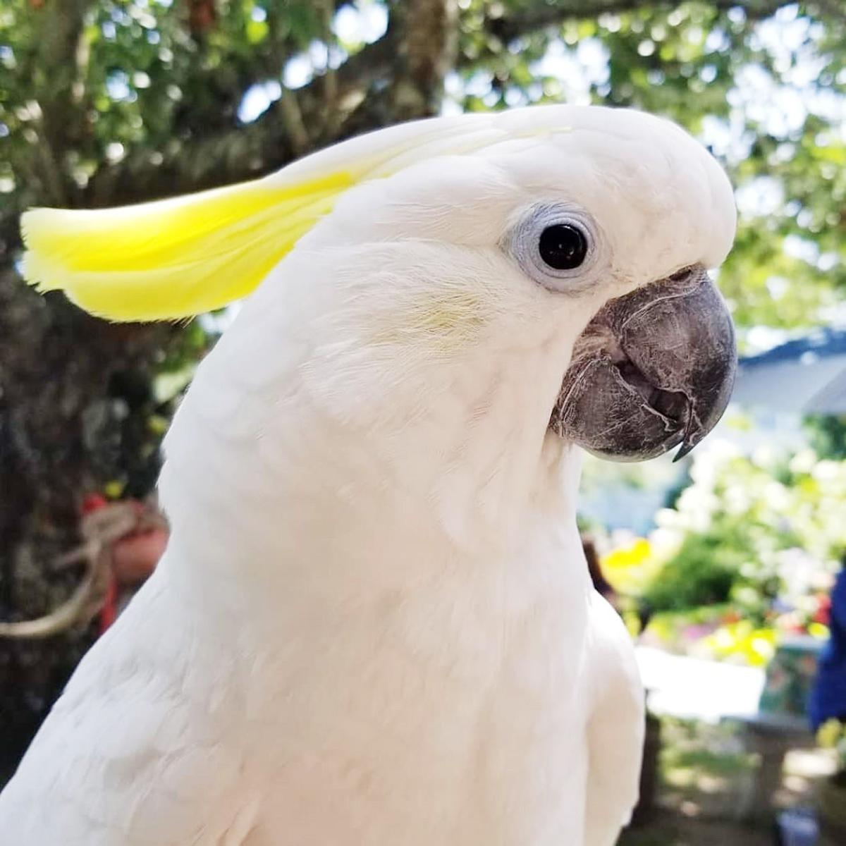 The Cape Cod Museum of Natural History – Cape For Good