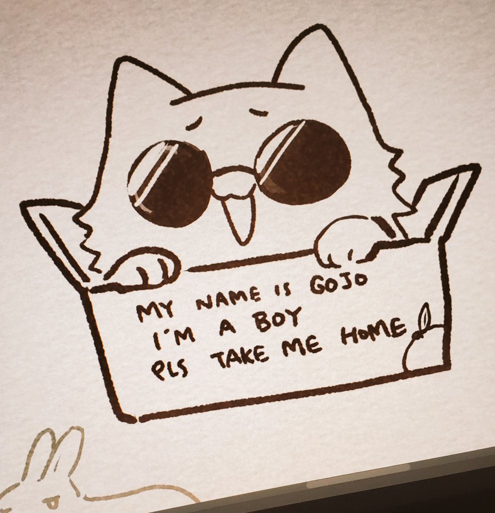 「Gojo cat stuck in a box( ・᷄ω・᷅ ) 」|Zelda ️working on TGCF vol 7 _(┐「ε ...