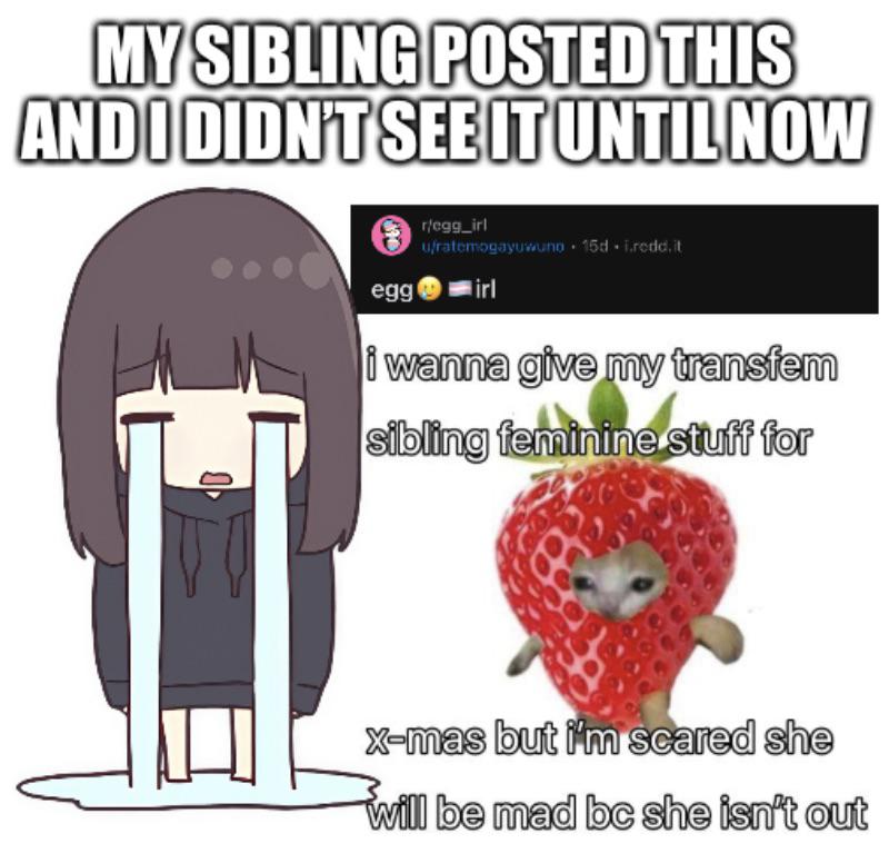 H.D.Frankenstein on Twitter: "RT @Egg_irl_bot: Egg ️IRL (Transfem Meme) https://redd.it/zqyu14"