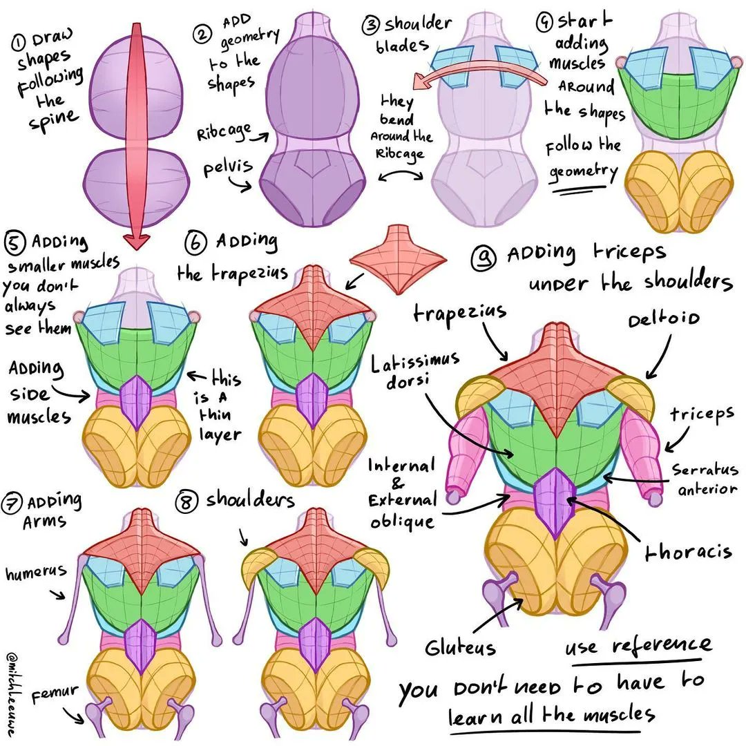 Cubebrush on Twitter: "Part 2 - Drawing the torso with Mitch Leeuwe. Support the artist: https ...