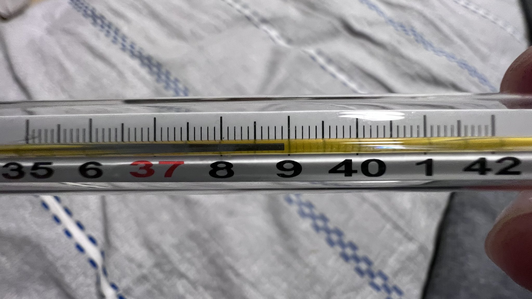 CrazyKid on Twitter: "应该阳了 https://t.co/Lx25emGlyV" / Twitter