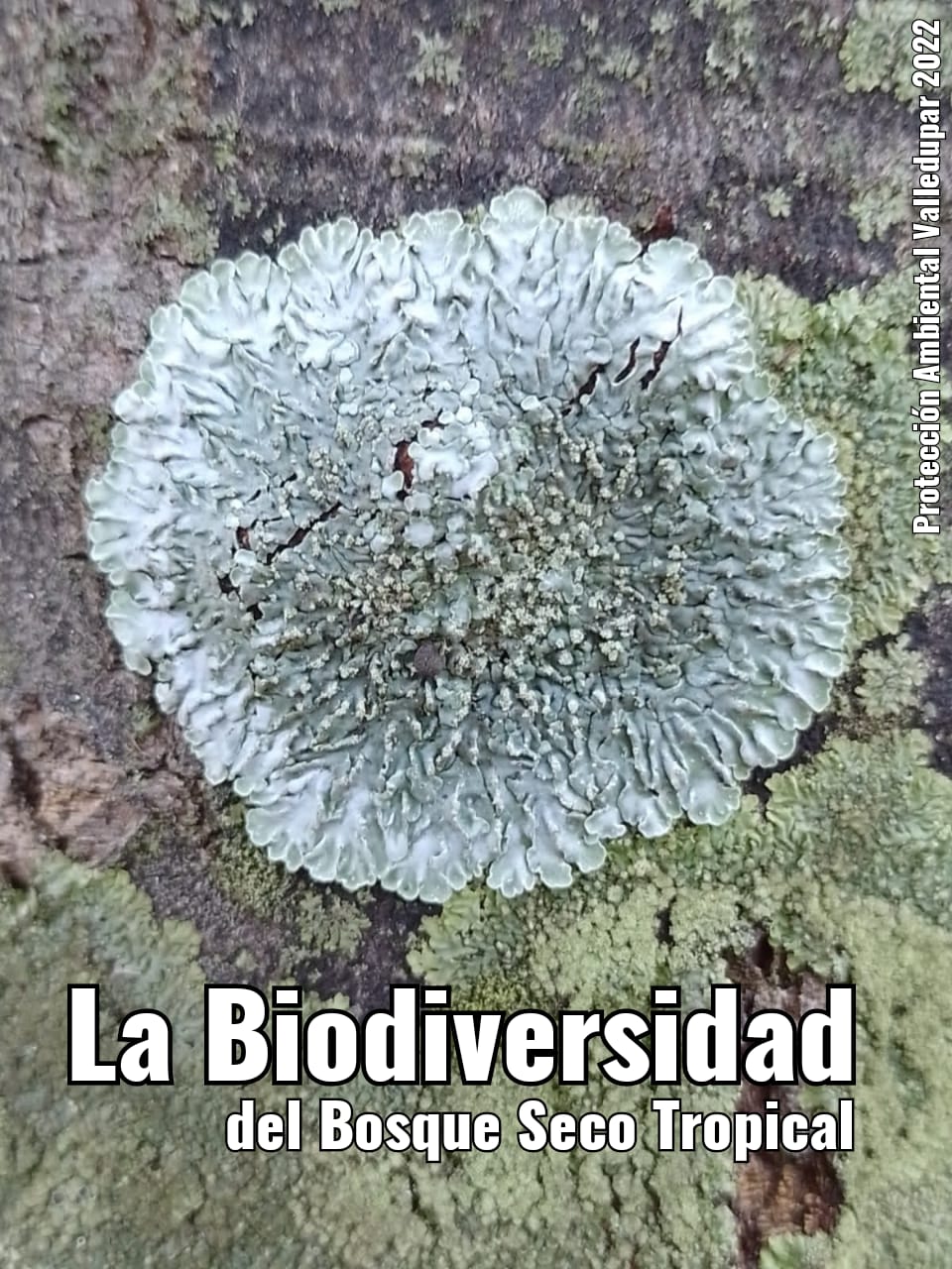 Luis Maestre (@luis_maestre77) / Twitter