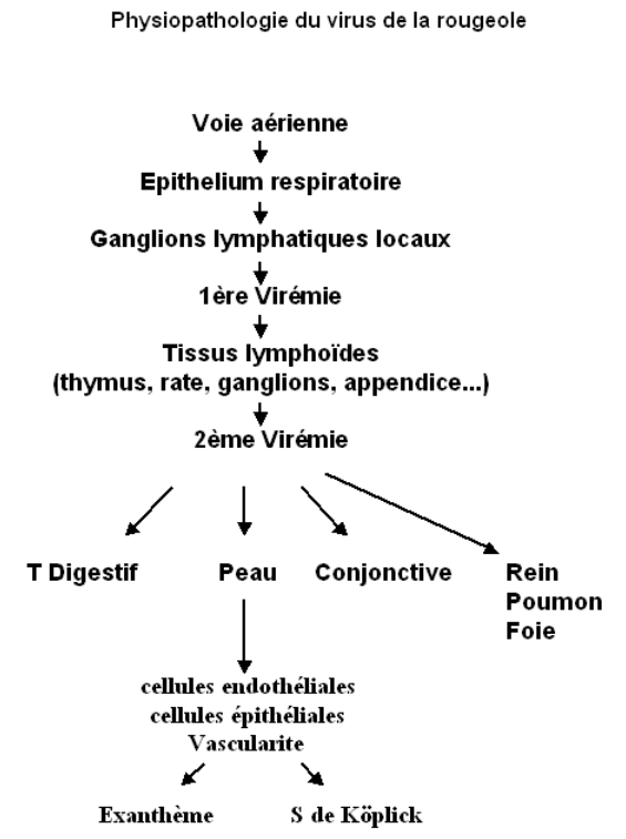 Thread by @C_A_Gustave on Thread Reader App – Thread Reader App