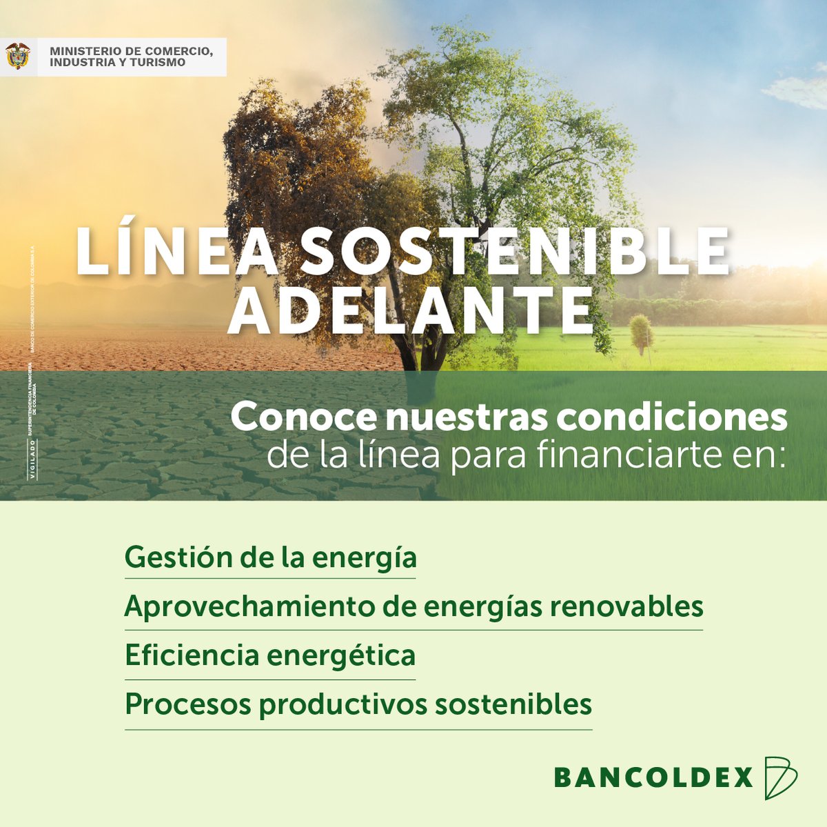 Bancóldex on Twitter: Bancóldex on Twitter: