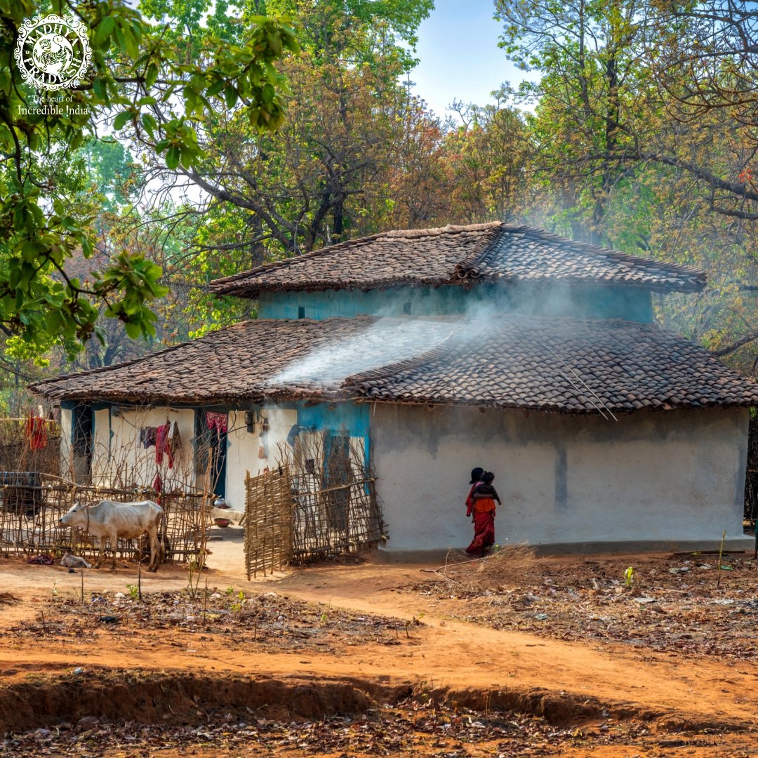 Gond Tribe Houses