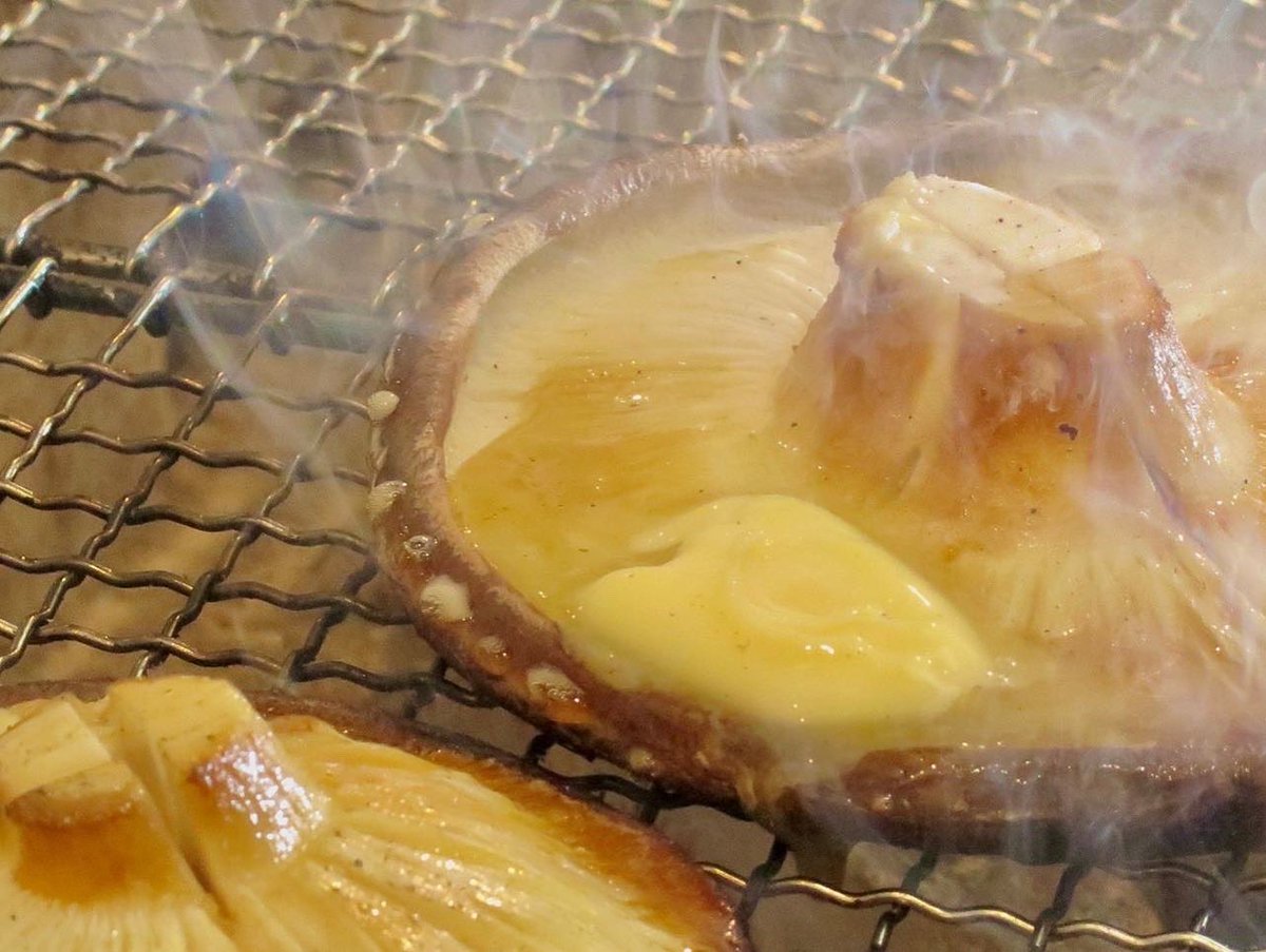 🎄オホーツク情報局⛄ on Twitter: "RT @Robata_Akari: 福岡県八女市産、松延さんの極厚しいたけが炉ばたメニューに登場 ️ 肉厚の椎茸は旨味も食べ応えも抜群の一品です ...