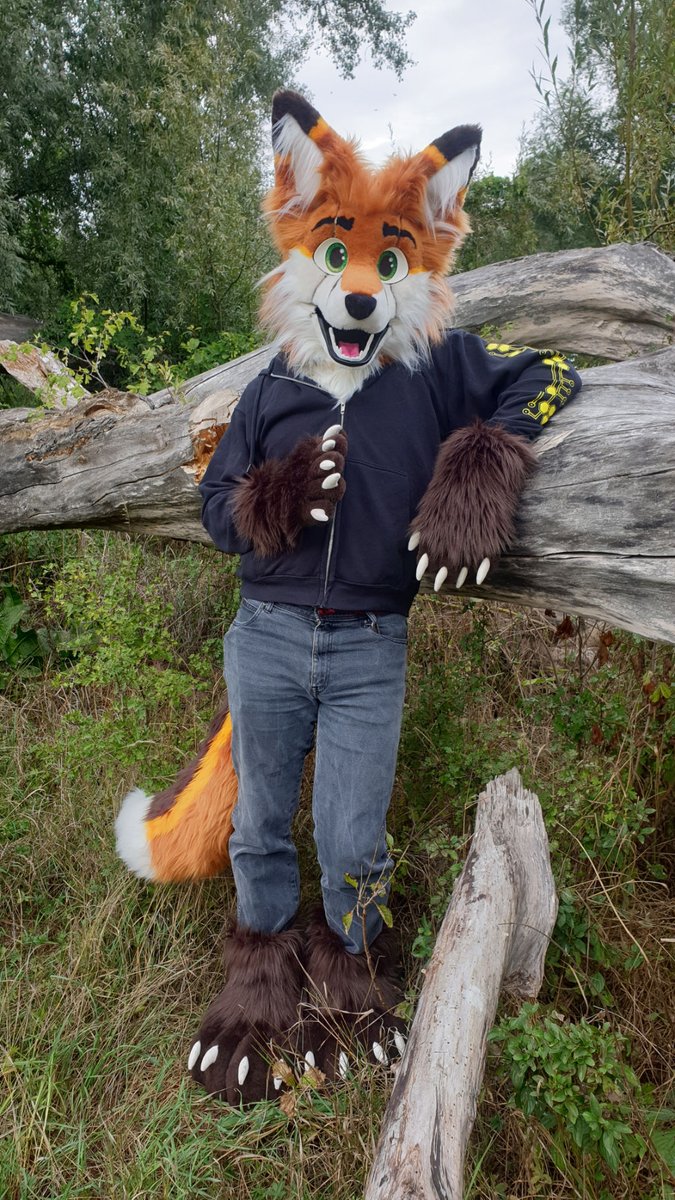 Fursuit Review on Twitter: "New #fursuit review (written by @FoxWithAName): [YES] Red Fox ...
