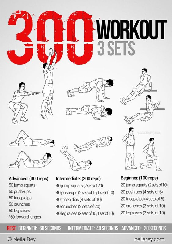 Spartan 300 Workout