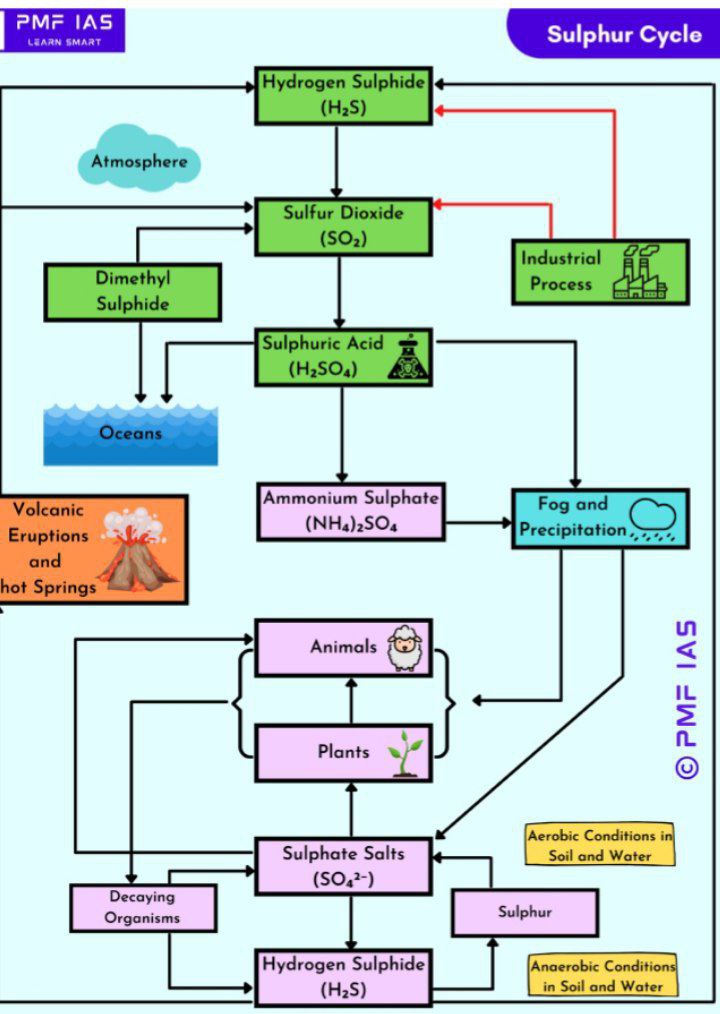 Sulfur Cycle Steps