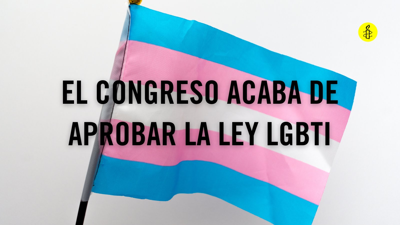 Amnistía Internacional España on Twitter: "‼️ El Congreso acaba de aprobar la ley LGBTI ...