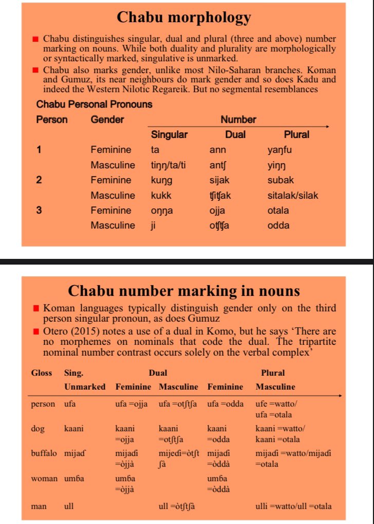 Chabu people of SW Ethiopian Highlands were hunter-gatherers until ...