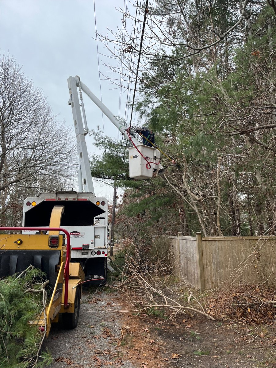 Eversource MA on Twitter: "Our tree crews are out across the state, continuing proactive patrols ...