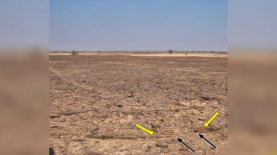 World’s 'Largest' Geoglyphs-Graphic Realisation of mankind Found in the ...