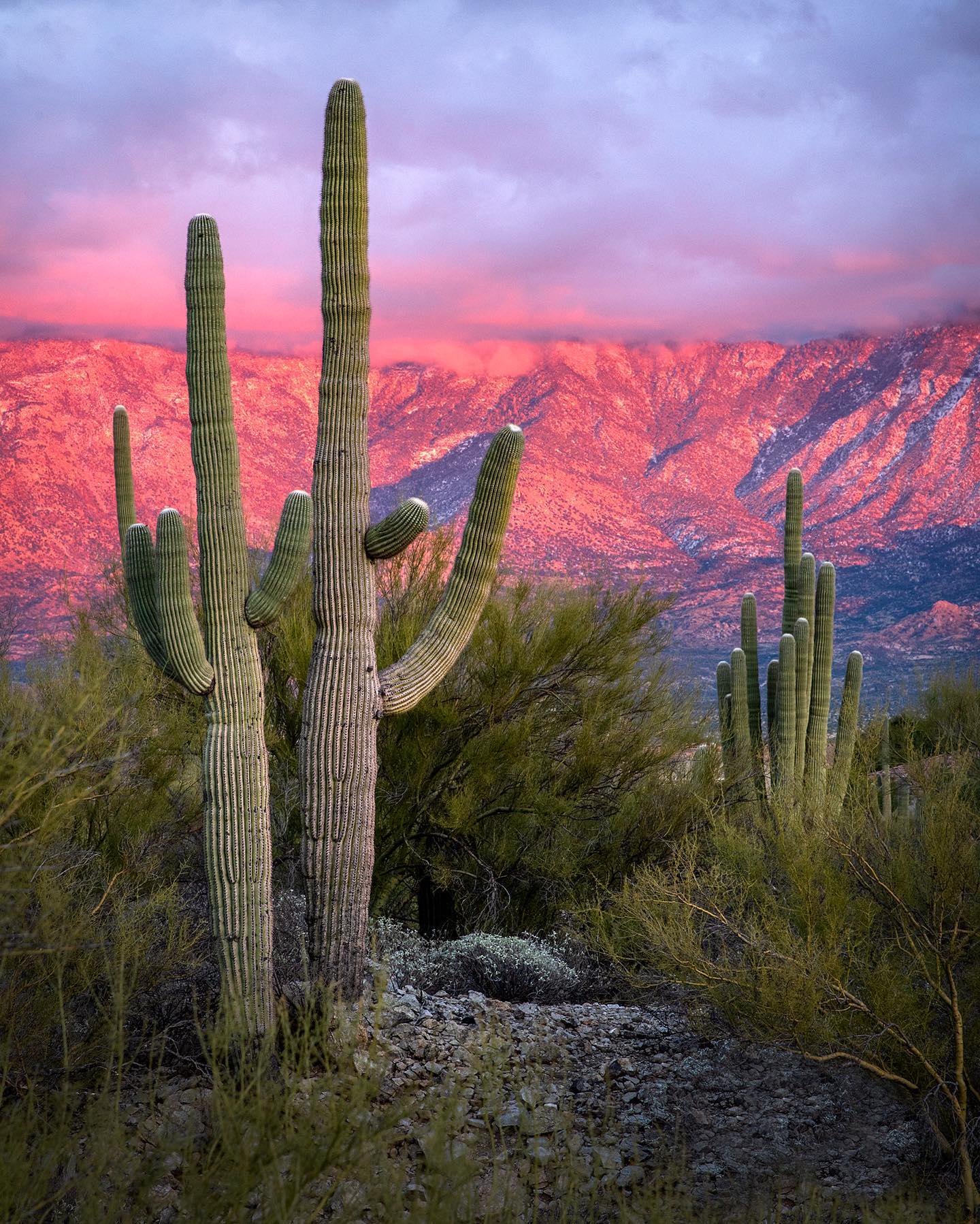 Tucson Arizona Sunset Desktop Backgrounds 16,484 Arizona Desert Sun