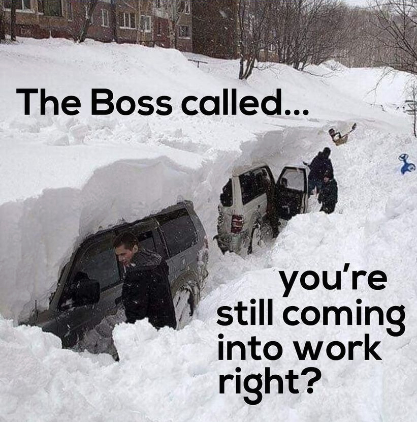 Bosses Be Like Meme Snow
