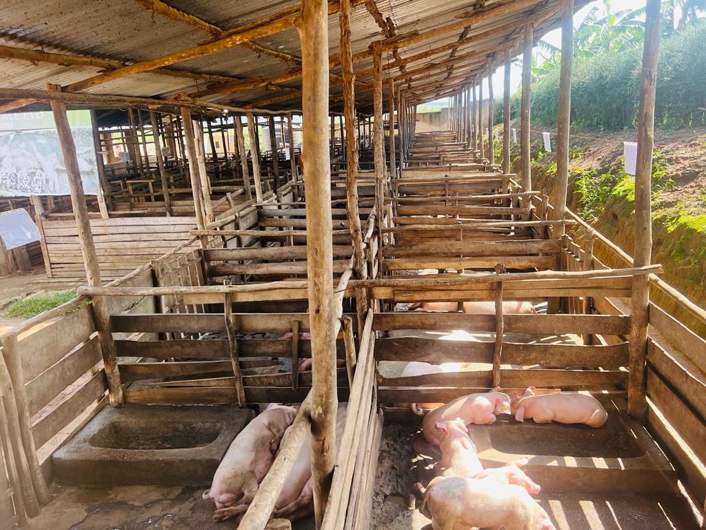 @RukundoChrist14,@GagaUwera,@SangwaSifa,@MumararunguDia1 and ...