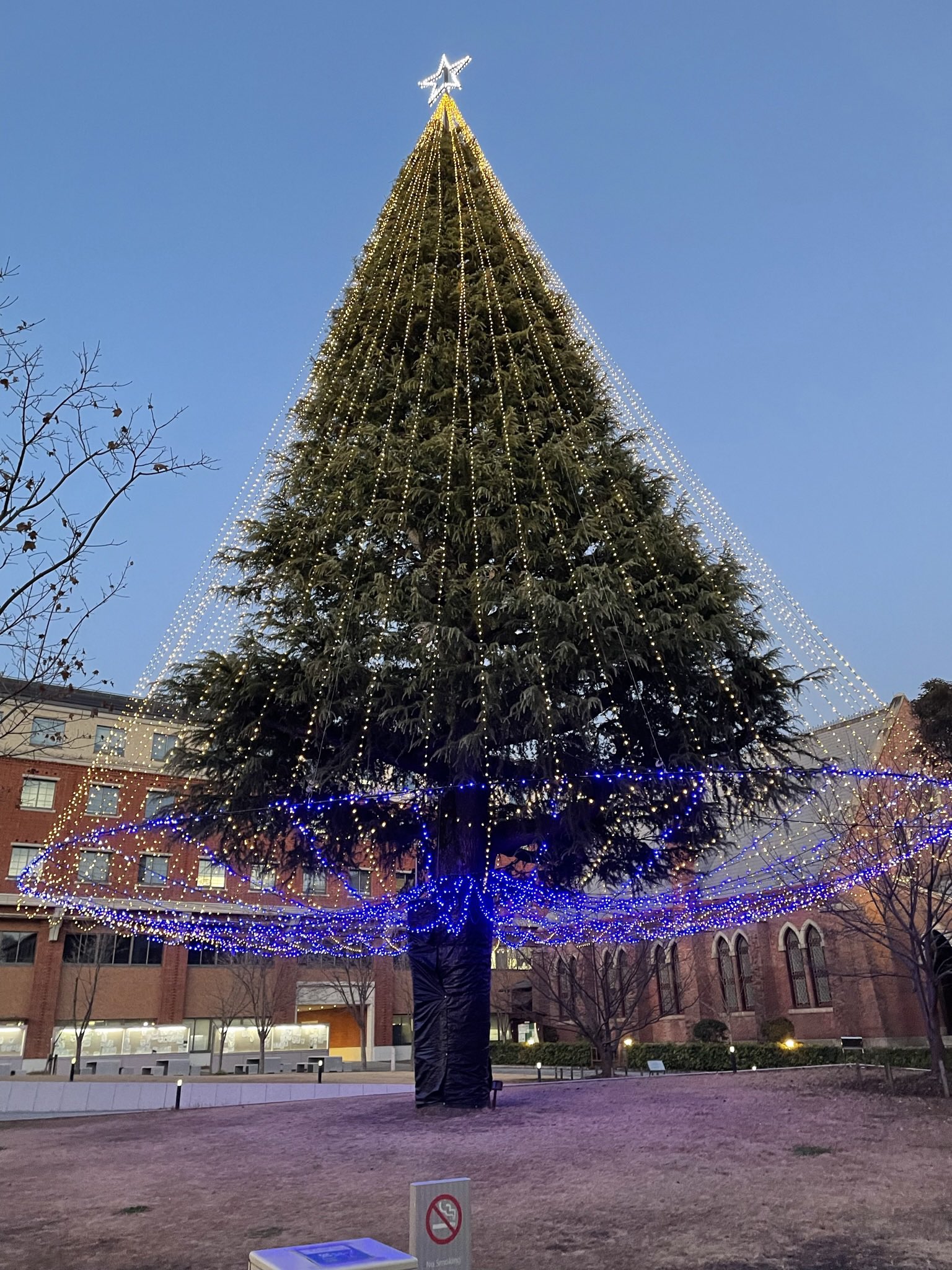 たつひろ On Twitter 同志社🎄 49xqdtjyji Twitter