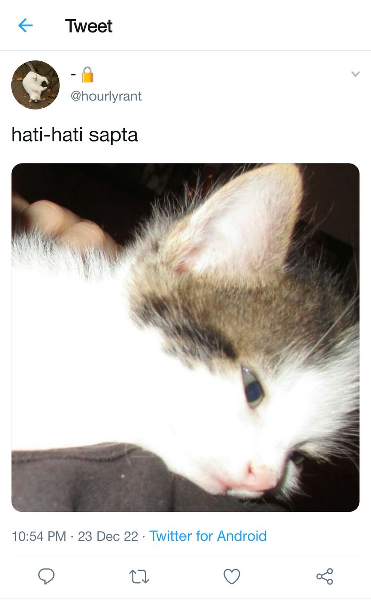 hanafra (slow) on Twitter: hanafra (slow) on Twitter:
