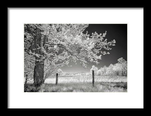 Art for the eyes! https://t.co/xNkiQEqD00 #treelovers #naturelovers # ...