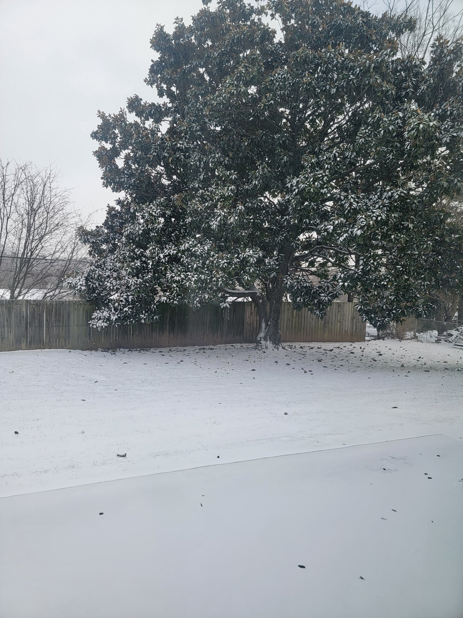 TW Pornstars - 2 pic. Sam Singh. Twitter. Good morning to me. -5° F temp, -35° F real feel. 5:09 ...