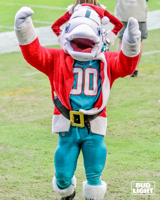 Dolphins Mascot 2022