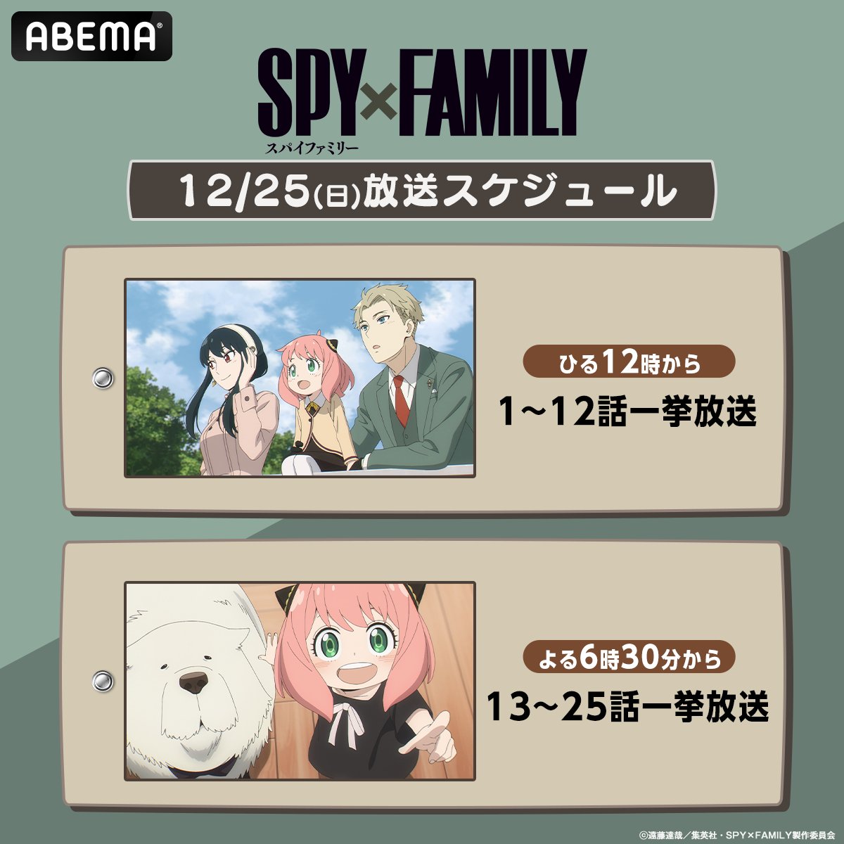 ABEMAアニメ(アベマ) on Twitter: "🦁___________ 明日ひる12時から 『#SPY_FAMILY』第2クール目まで 全話無料一挙放送📡 ￣￣￣￣￣￣￣￣￣￣￣￣🥜 ...