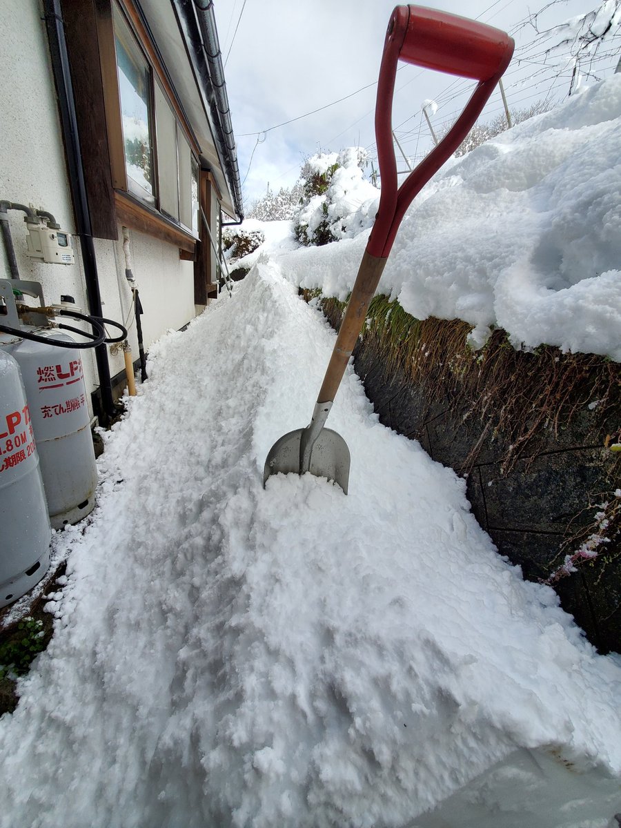 Ara On Twitter 屋根から落ちた雪 取り敢えず窓周りの雪はとのげだ ビフォーandアフター もう雪を寄せる 上げる 場所がない‼