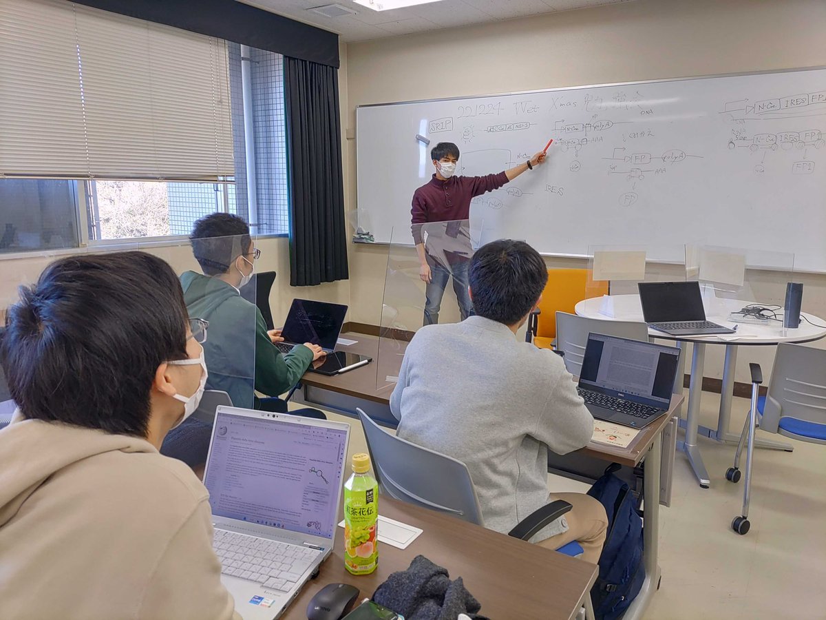 iGEM TokyoTech on Twitter: "本日(12/24) wet勉強会を開きました！ 昨日の｢wet、明日クリパするよ？｣ってこれのことか〜 #iGEM #TokyoTech ...