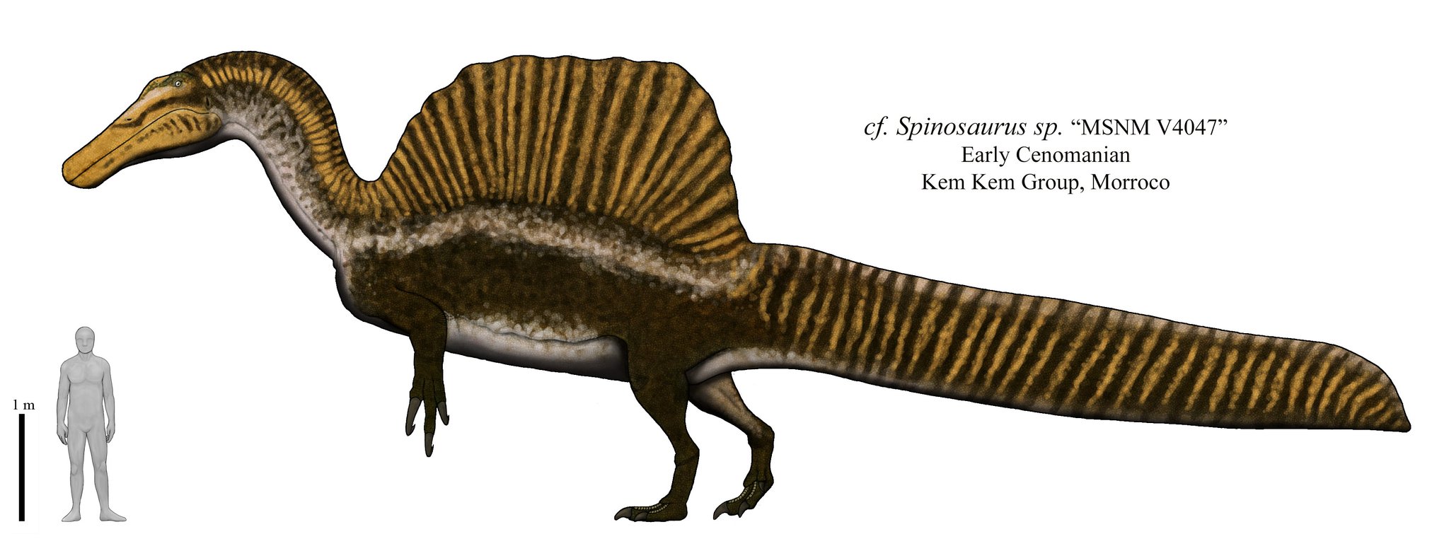 E' grazie a due paleontologi italiani se oggi sappiamo come era ...