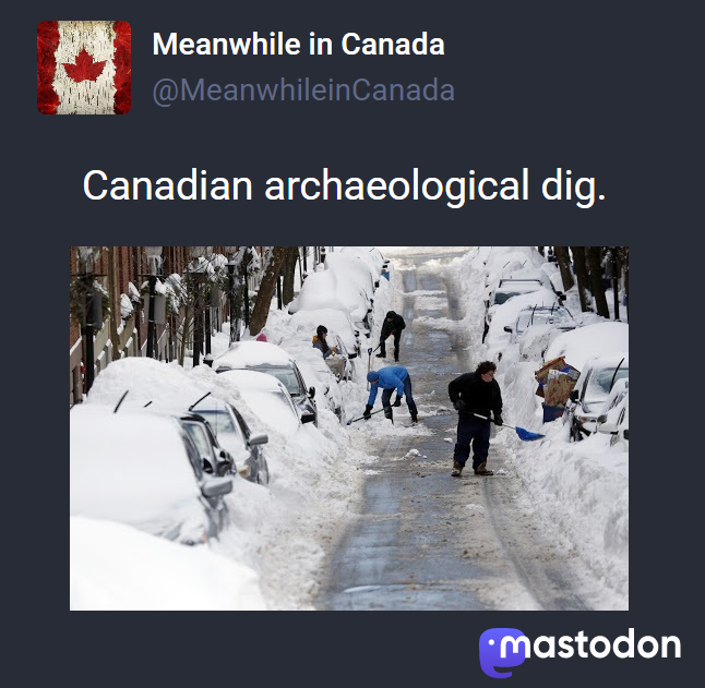 Meanwhile In Canada Snow Meme
