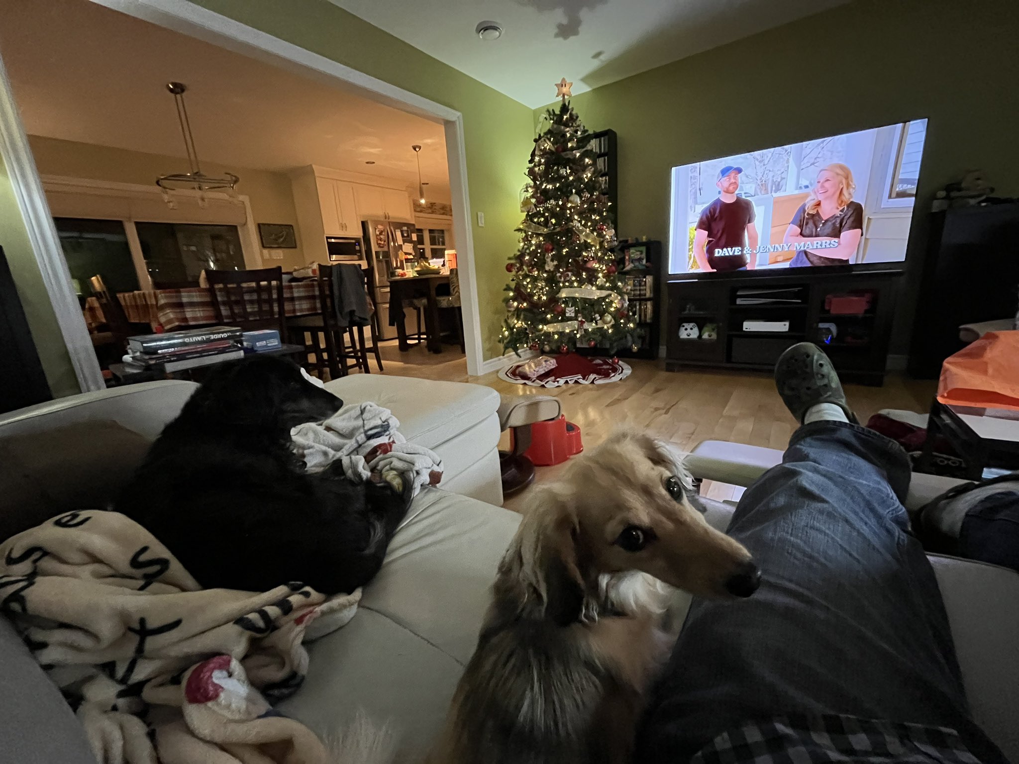 Frédéric Gagné on Twitter: "@DougDeMuro https://t.co/gDiL8iJdH1" / Twitter