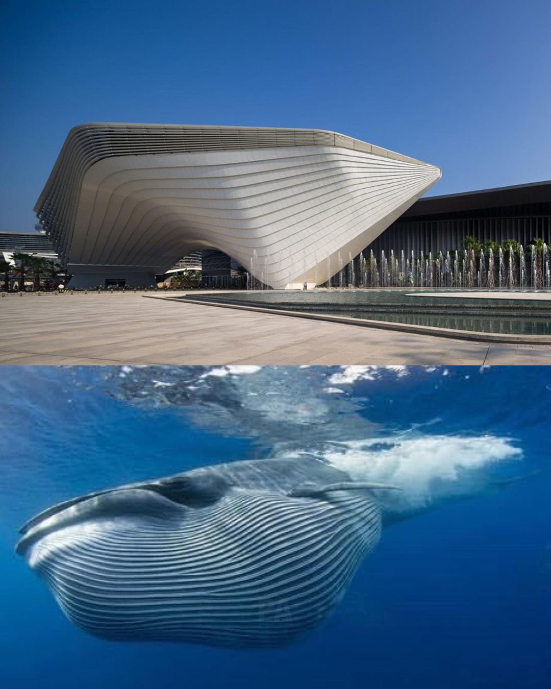 Parametricarchitecture On Twitter The Shizimen Central Business District A Compelling