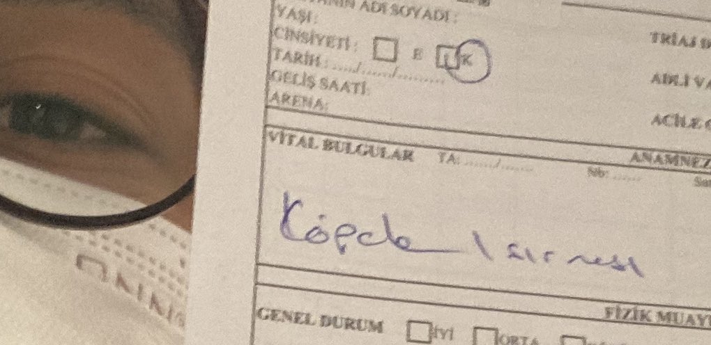 ecem on Twitter: "odtü köpkelerine ucube dedikten bi gün sonra gece 1de acile gelis nedenim ...