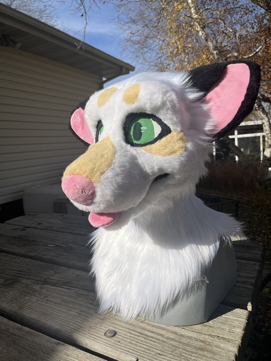 แ Katie แ ๐ณ๏ธโโง๏ธ๐๐บ Commissions Open 10 Days๐ On Twitter Rt Feral