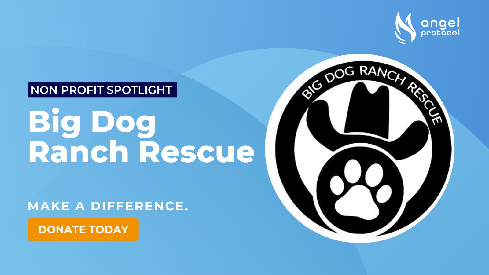 Angel Protocol 😇 (@AngelProtocol) / Twitter