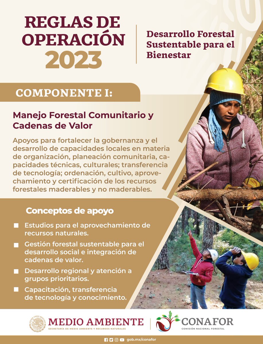 CONAFOR on Twitter: "El Componente 1⃣ de las Reglas de Operación 2023, impulsa el desarrollo del ...