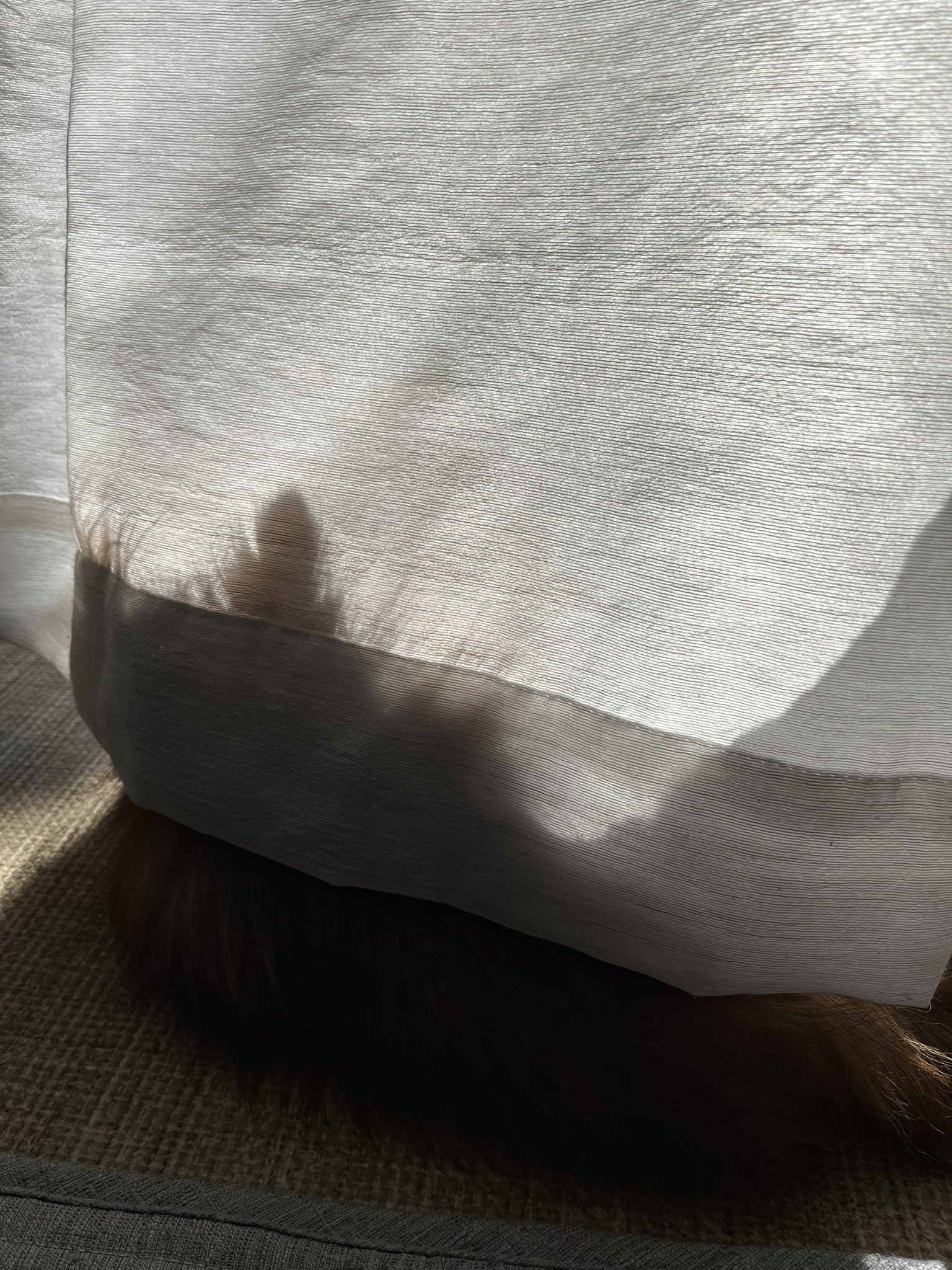 dam_ganjyu (@ganjyu2) / Twitter