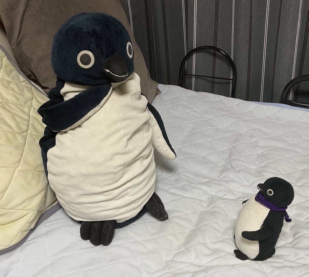 R.I.C on Twitter: "⭐️クタペンの2023年⭐️ 1月 変態行為 2月 変態行為 3月 変態行為 4月 変態行為 5月 変態行為 6月 変態行為 7月 変態行為 8月 変態 ...