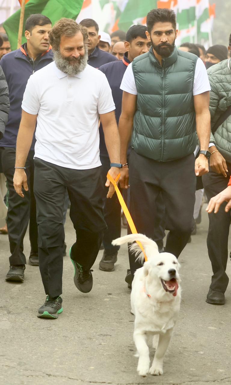 Gandhi With Dog