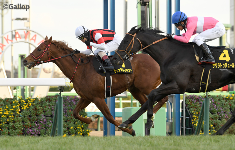和田稔夫 Toshio Wada 🏇 週刊Gallop･サンスポ･夕刊フジ on Twitter: "ニューイヤーSは #ウイングレイテスト がV🥇 陣営が蹄や脚元のケアに努め、実力馬が見事に ...
