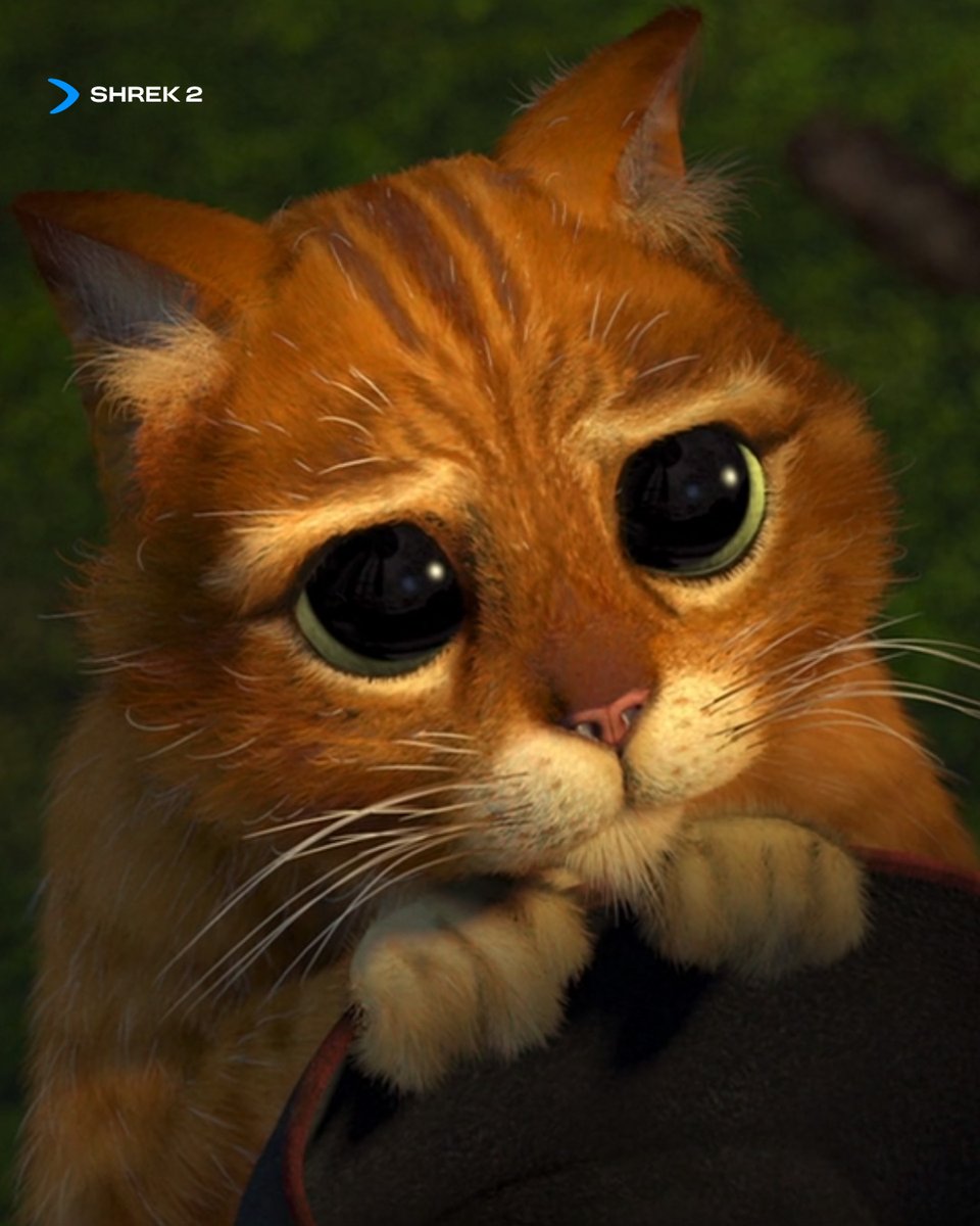 K-Drama Menfess on Twitter: "The Forbiden Marriage seru kah •kdm•"