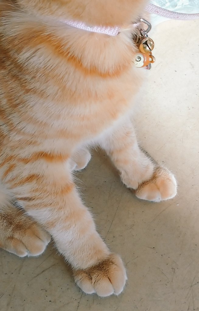 宵月夜の蟹(@lost_zero_) - Twilog (ツイログ)