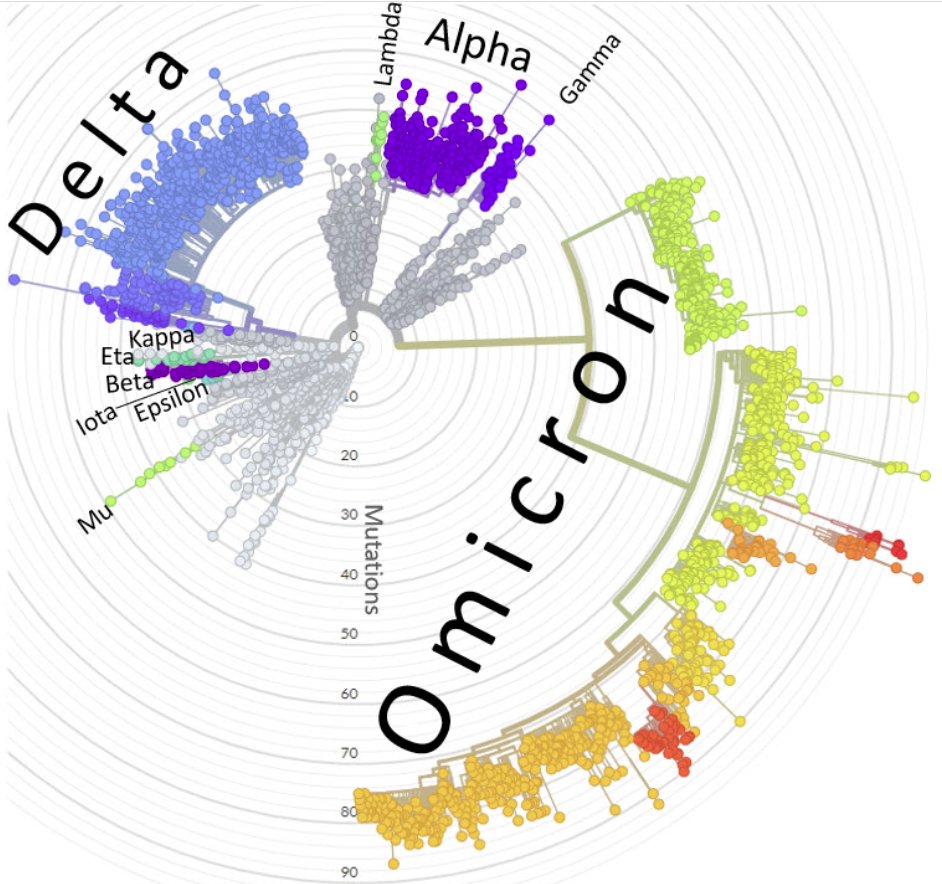 Thread by @TRyanGregory on Thread Reader App – Thread Reader App