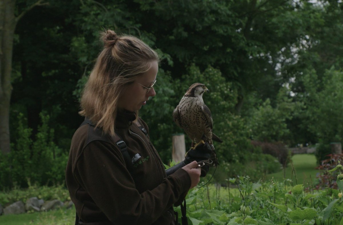 Stichting DierenLot on Twitter: Stichting DierenLot on Twitter: