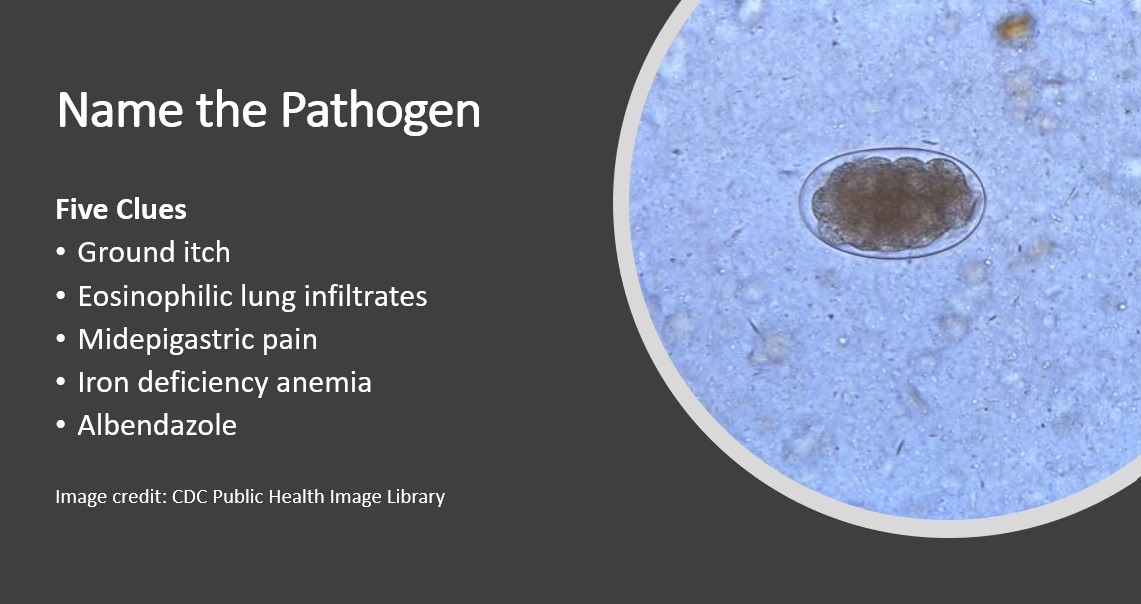 Weekend Digest Name the Pathogen Five Clues 1. Ground itch 2 ...