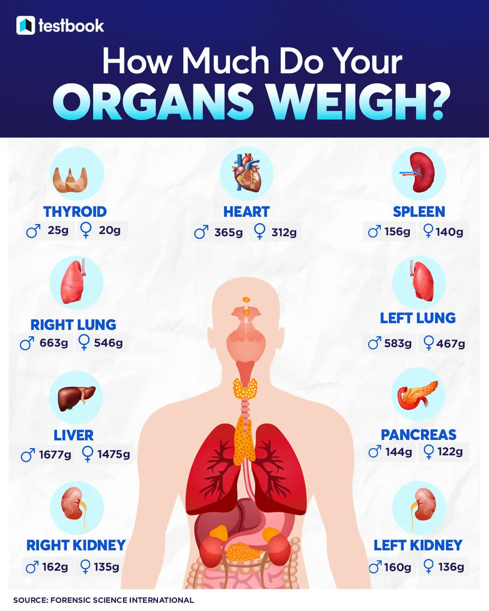 testbook-on-twitter-how-much-do-your-organs-weigh