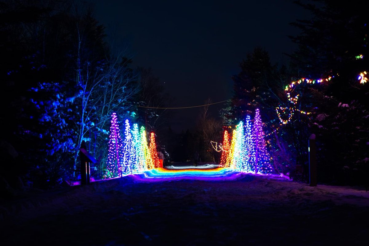 Conception Bay South on Twitter: "- LIGHT WALK AT MANUELS RIVER - The Light Walk will be ...