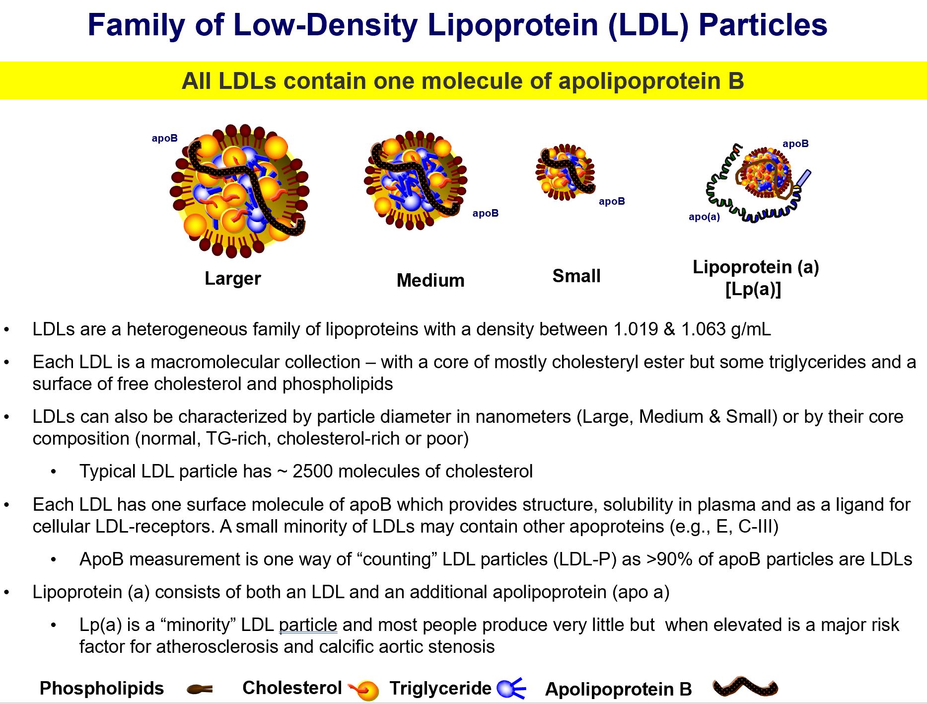Ldl Cholesterol Structure