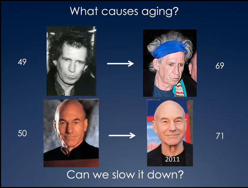 🥼Agingdoc1⭐MD, PhD 🔔 on Twitter: "Slide of the day... 👇 https://t.co/jLt22sUkVk" / Twitter